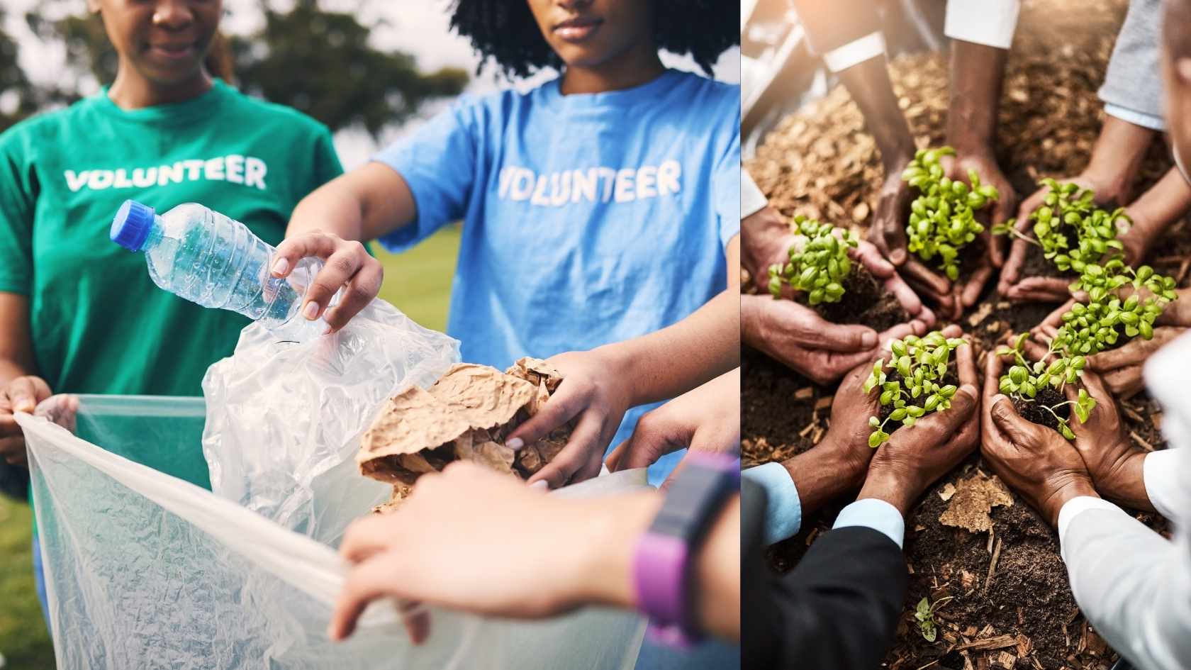 Grassroots Organization vs Nonprofit Organization Unveiled – A ...