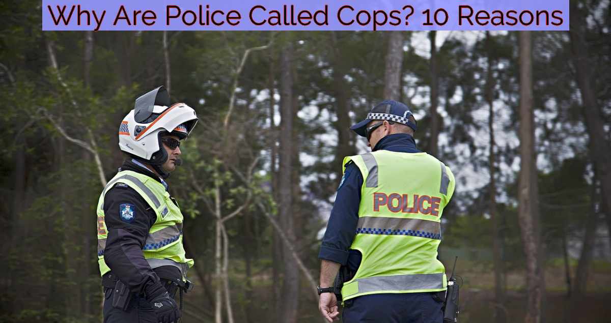 Why Are Police Called Cops? 10 Reasons - Campaigning Info