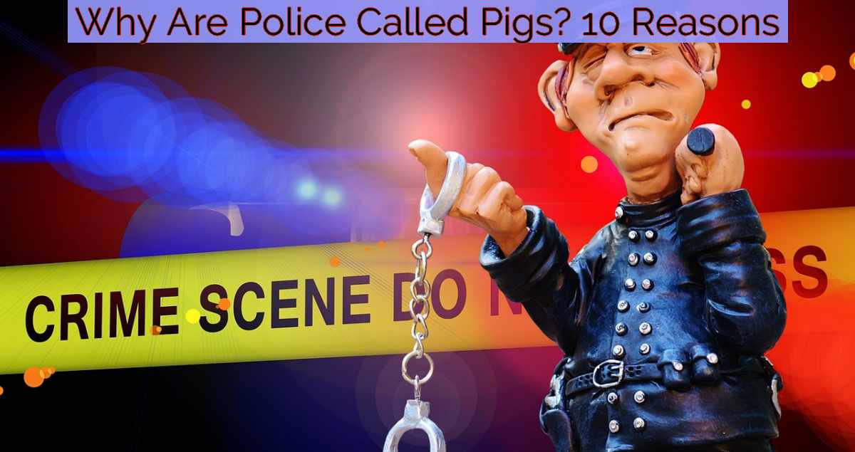 Why Are Police Called Cops? 10 Reasons - Campaigning Info